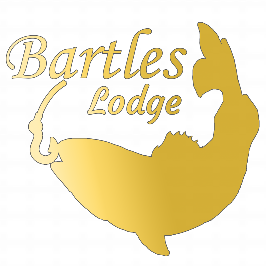 Bartles Lodge – Fishing Lakes in Dereham, Norfolk